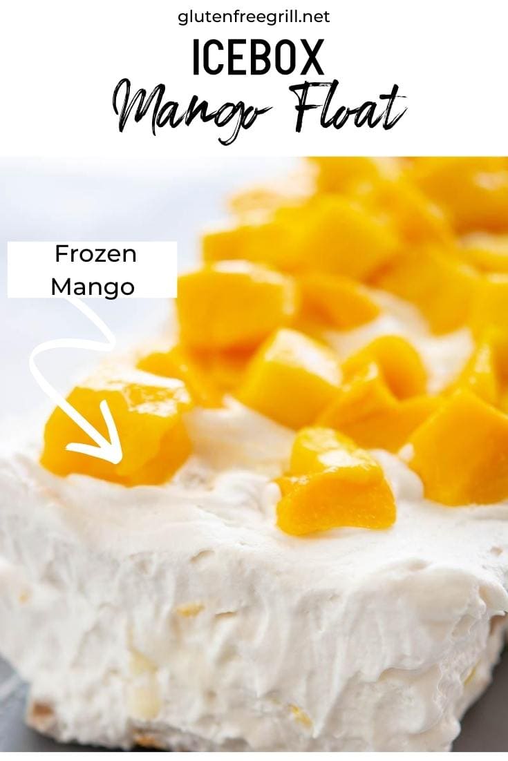 Mango Float - Gluten Free Grill